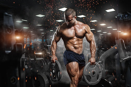 Build Muscle with This Full Body Workout – Nitrocut
